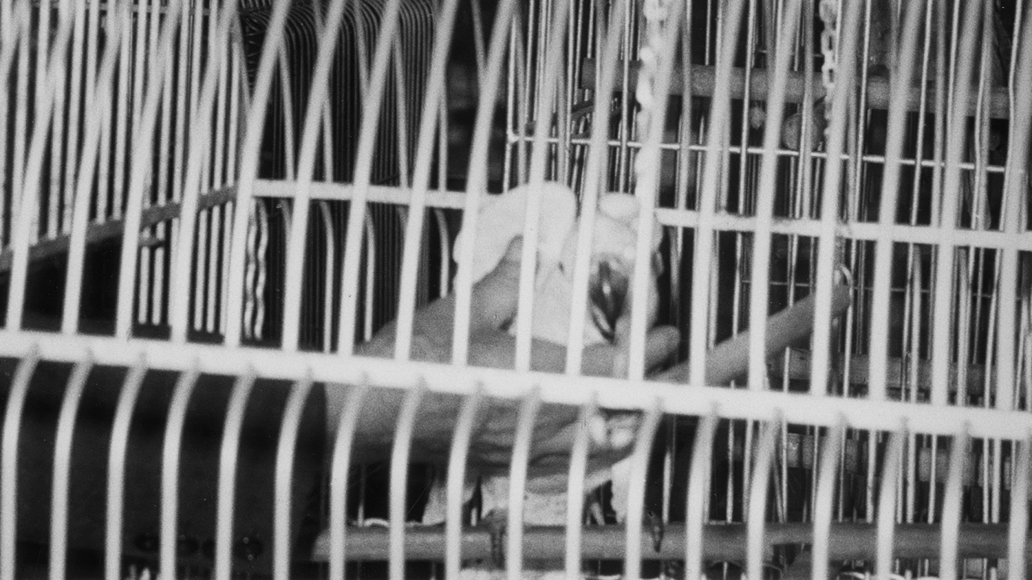 Quenton Miller CC - - Quenton Miller CC