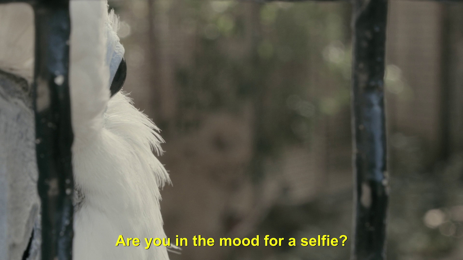 Quenton Miller CC - - Quenton Miller CC